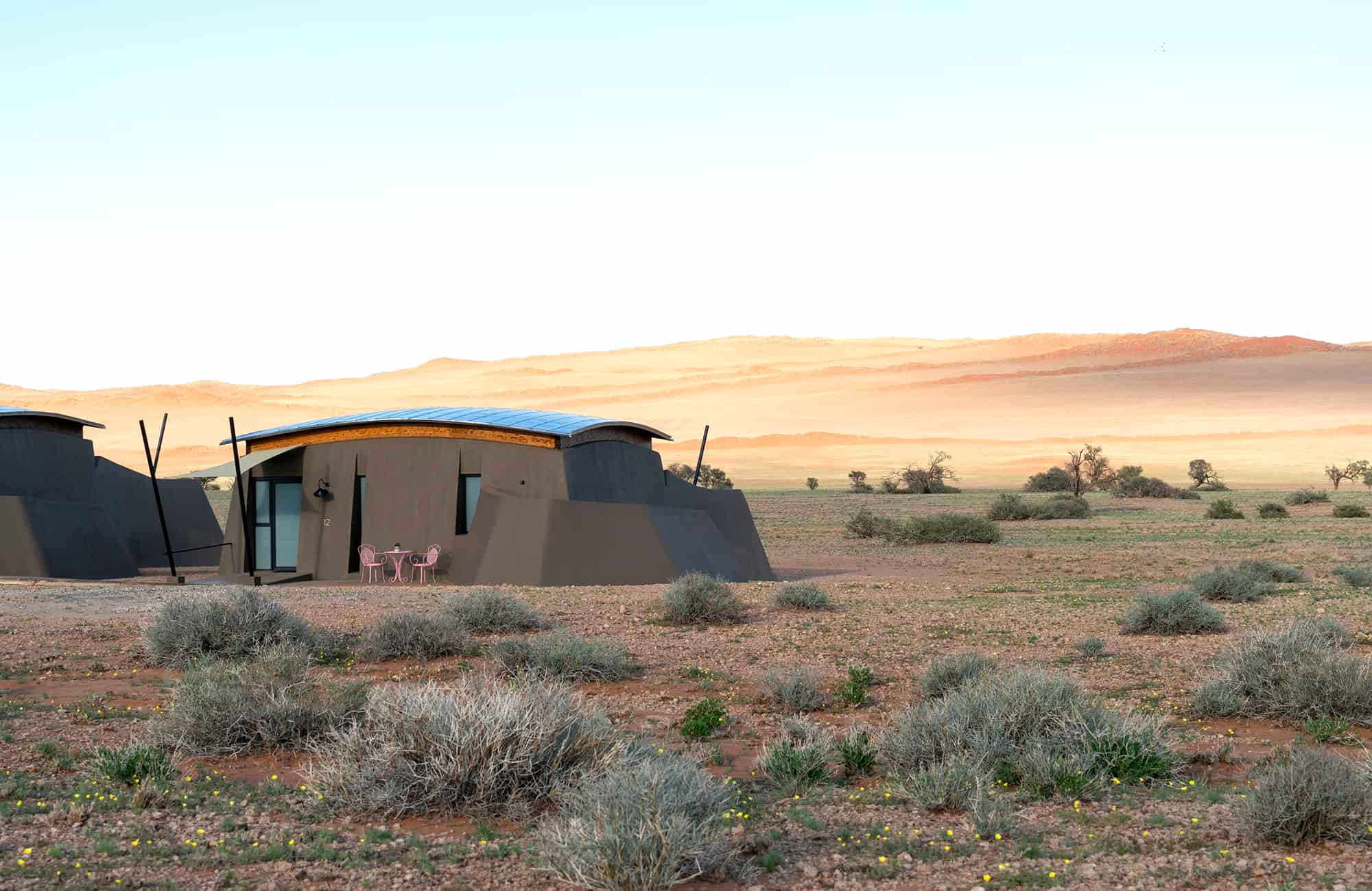 The Desert Grace